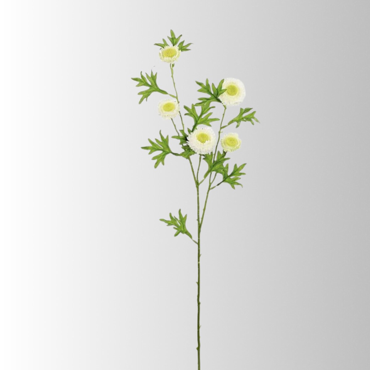 31" White Strawflower Spray for Spring Floral Arrangements-6214-W ...