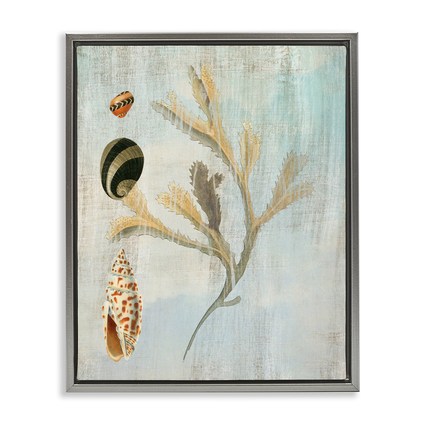 Stupell Industries Mixed Seashells & Coral Floating Frame Design by Susan Arnot | Michaels