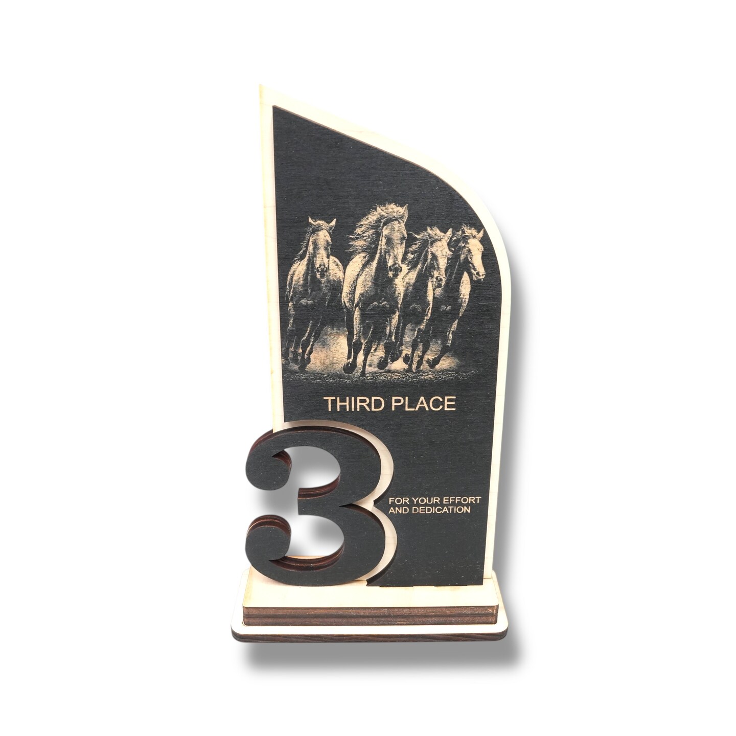 Award - Trophy - CUSTOM - Horse - 1st 2nd 3rd Place - 9x5 Inches | Michaels