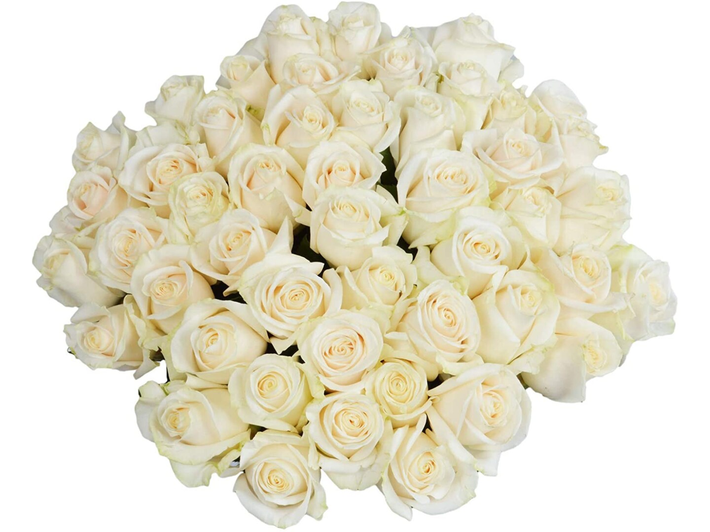 50 White Roses | Fresh Flowers for Delivery with Opal Vase | Shipped ...