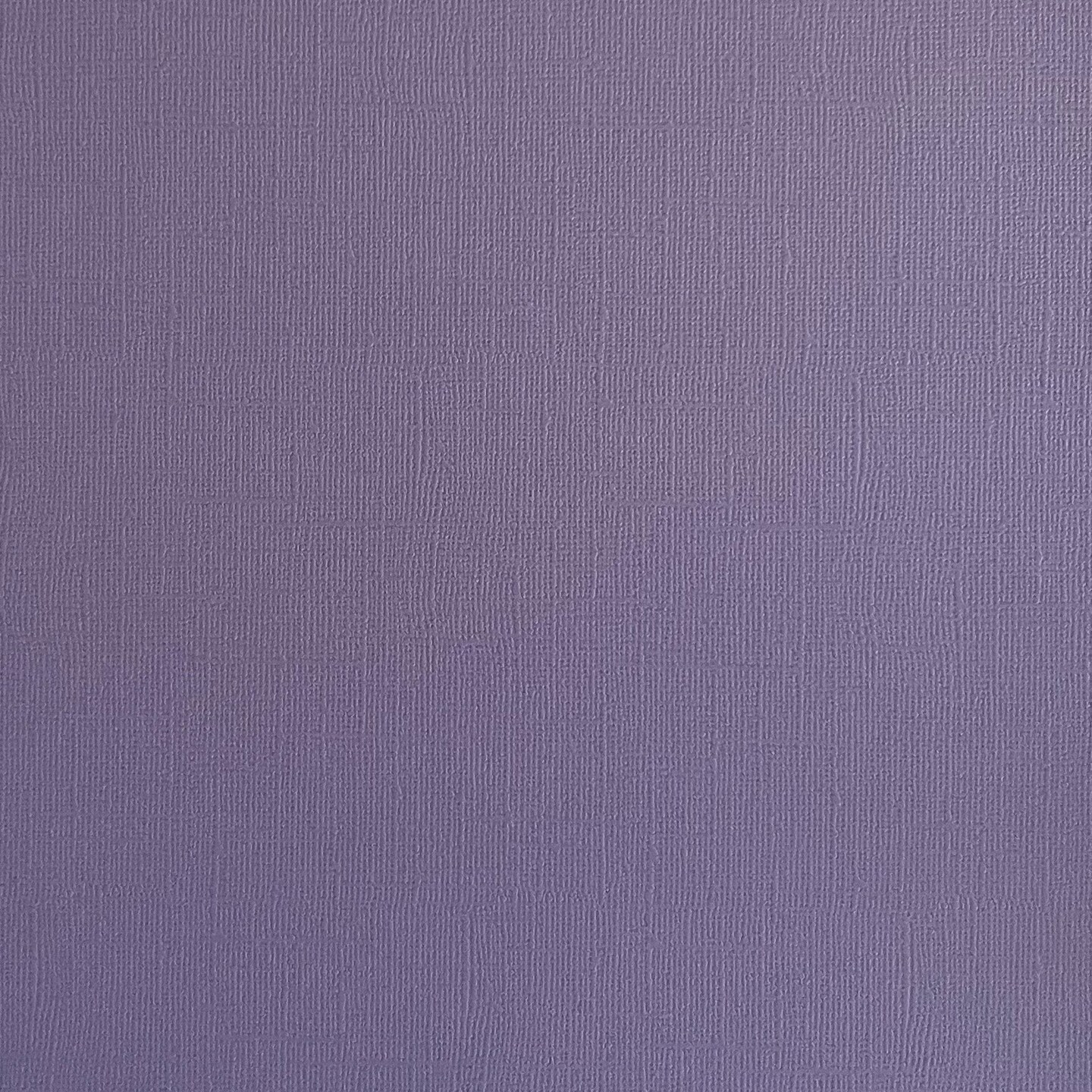 ASTER - Textured 12x12 Cardstock - Encore Paper | Michaels