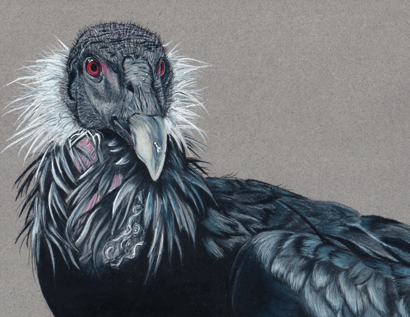 Carrion Crown (Andean Condor) - 8.5"x11" Print | MakerPlace by Michaels