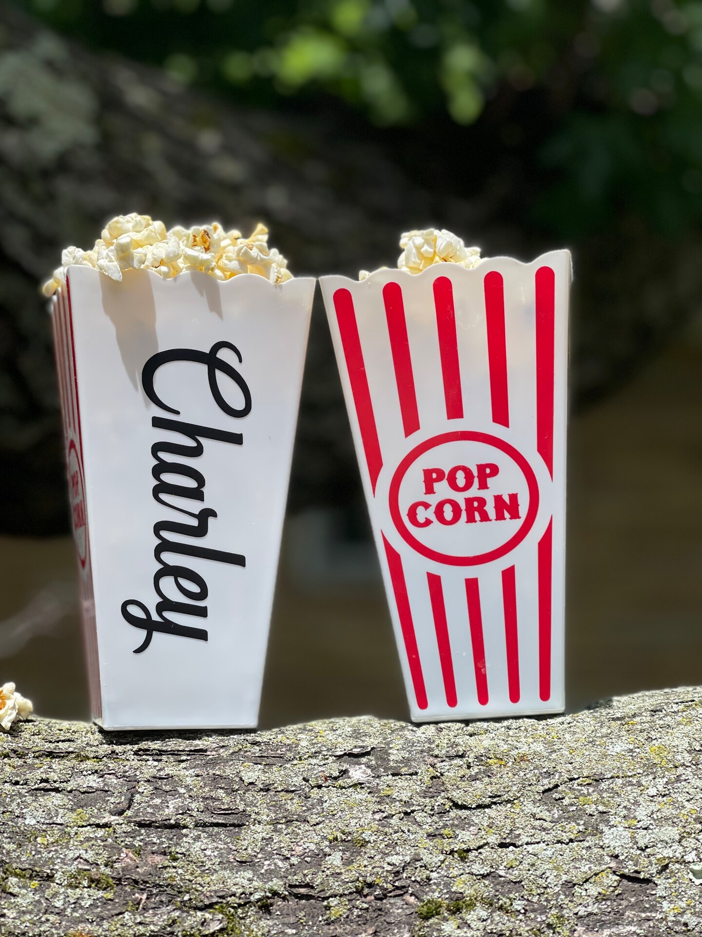 Personalized Popcorn Buckets, Birthday Party, Movie Night, Party Favors ...