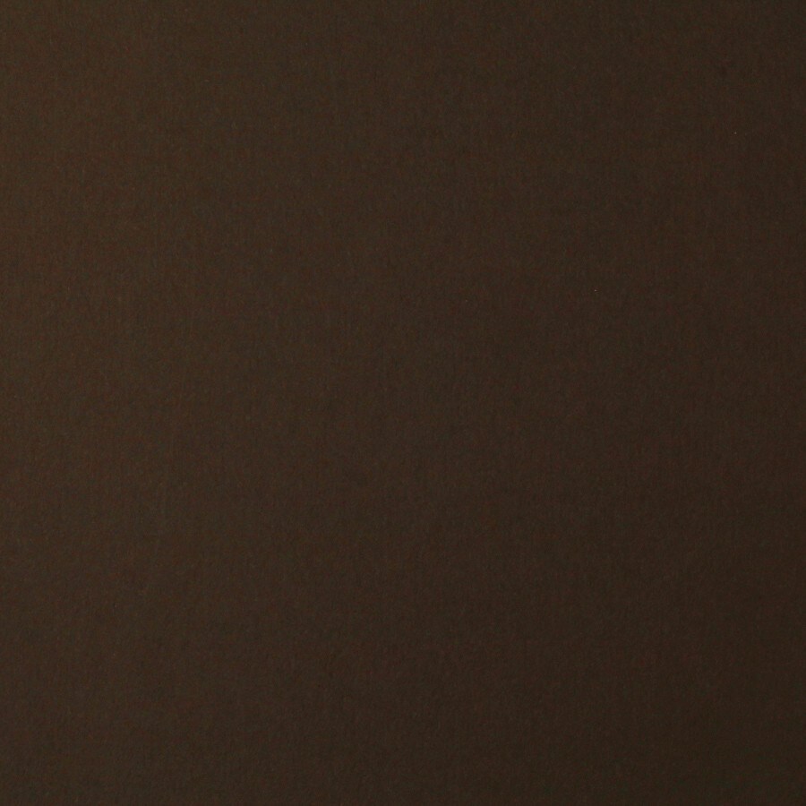 Colorplan by Legion Papers 11" x 17" - 130 Lb. / 18.5 pts Matte Premium ...