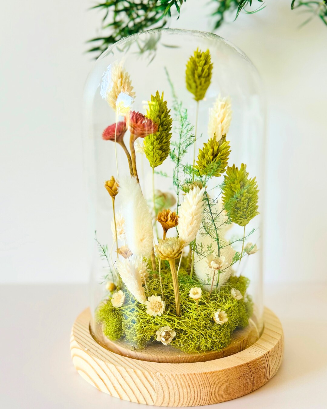 Preserved Flowers In Glass Dome Makerplace By Michaels