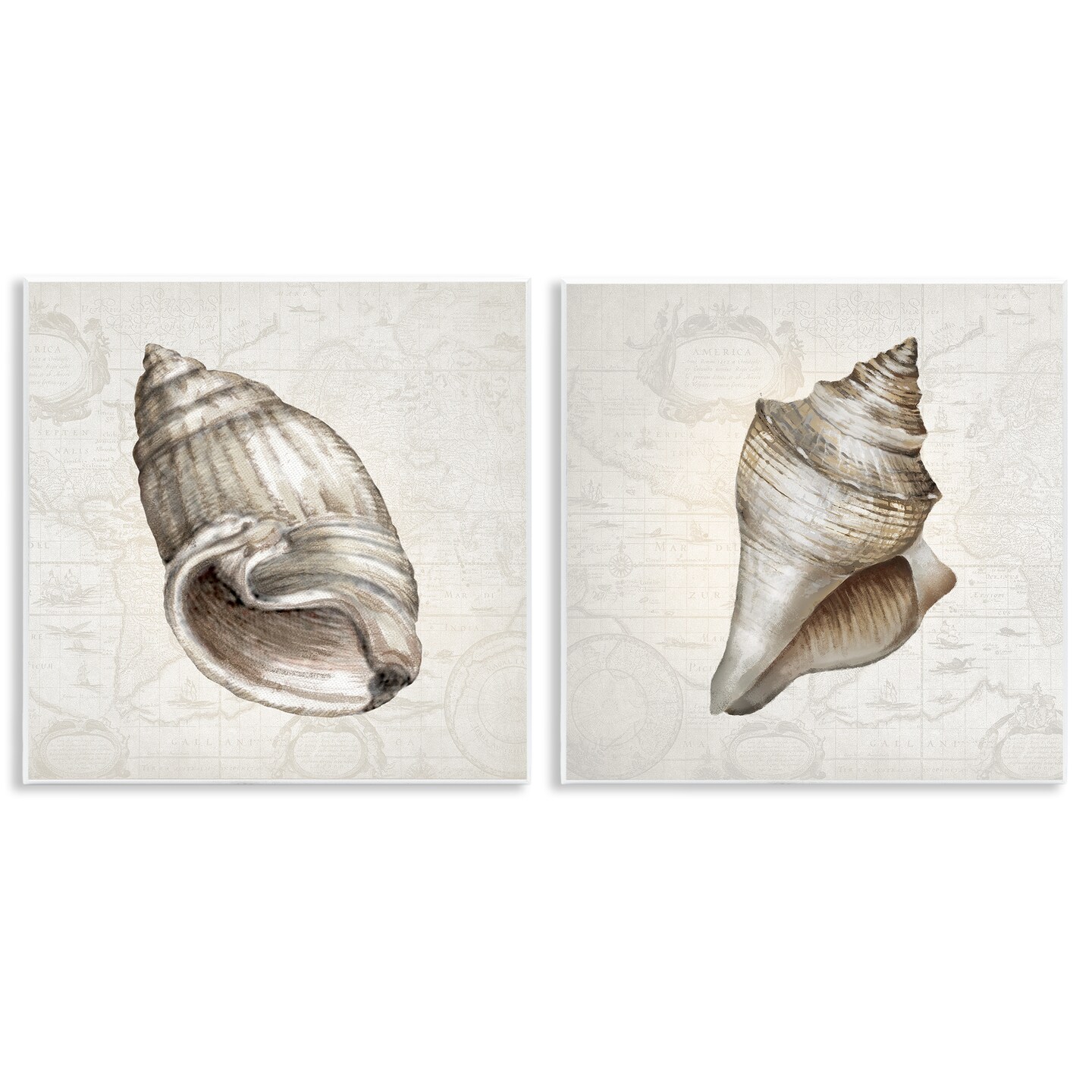 Stupell Industries Conch Shells over Vintage Maps 2pc Wall Plaque Set ...