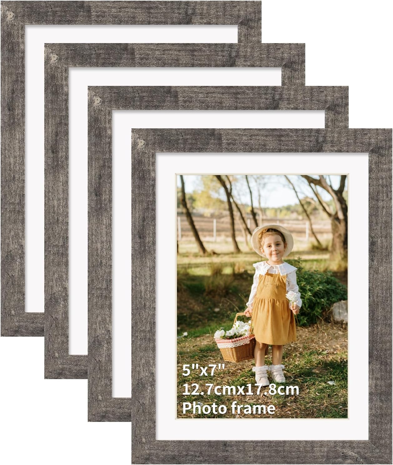 5x7 Picture Frame Set of 4,(Grey) | Michaels