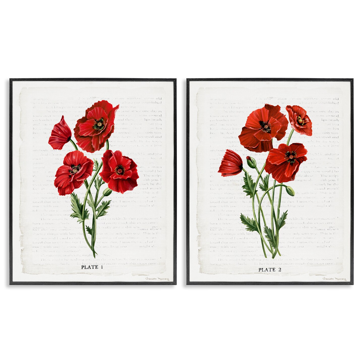 Stupell Industries Poppy Bunch Studies 2pc Framed Giclee Set By Danielle Murray | Michaels