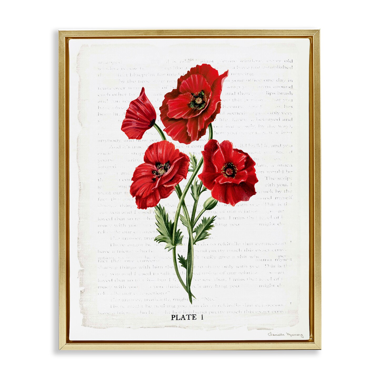 Stupell Industries Red Poppy Study Floating Frame By Danielle Murray | Michaels