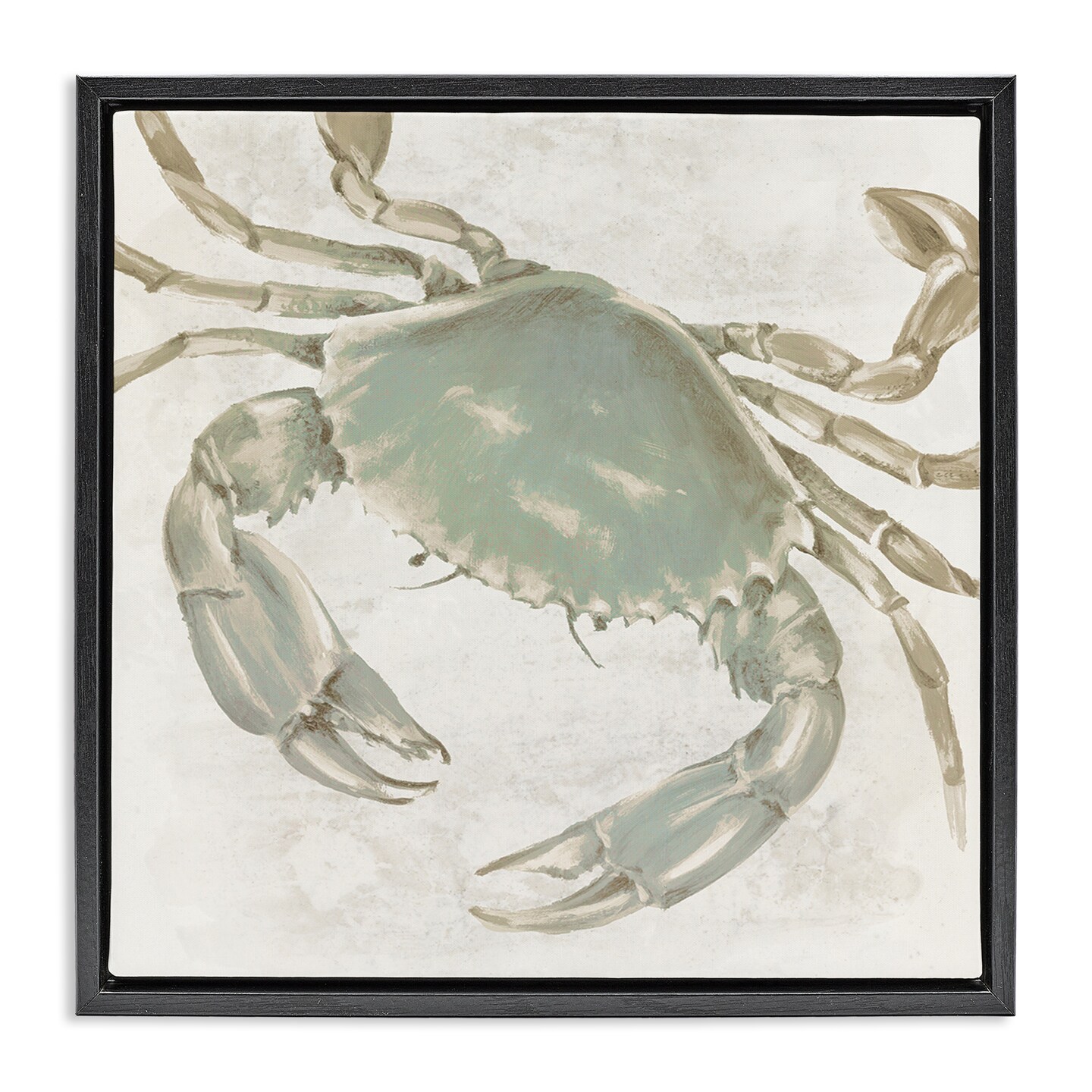 Stupell Industries Pale Toned Sea Crab Floating Frame By Eli Jones ...