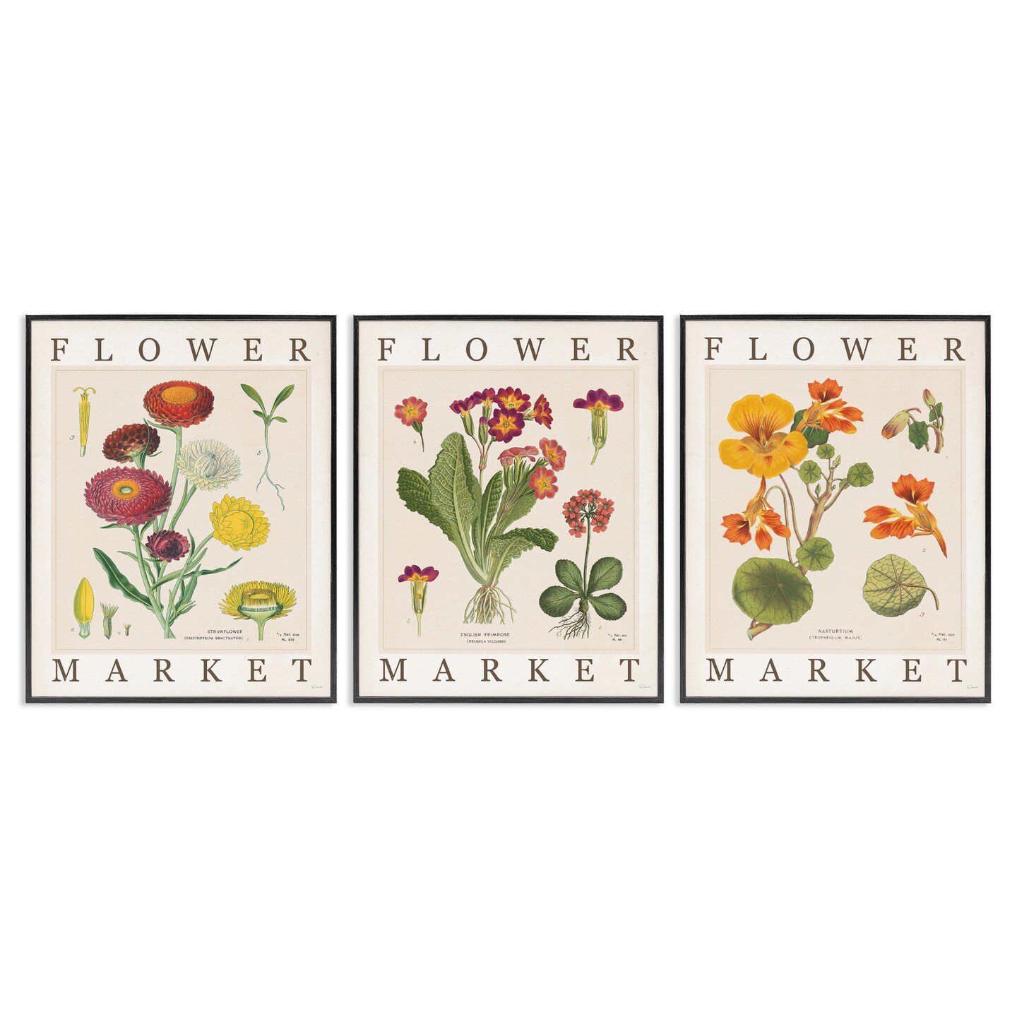 Stupell Industries Vintage Flower Market Blooms 3pc Framed Giclee Set ...