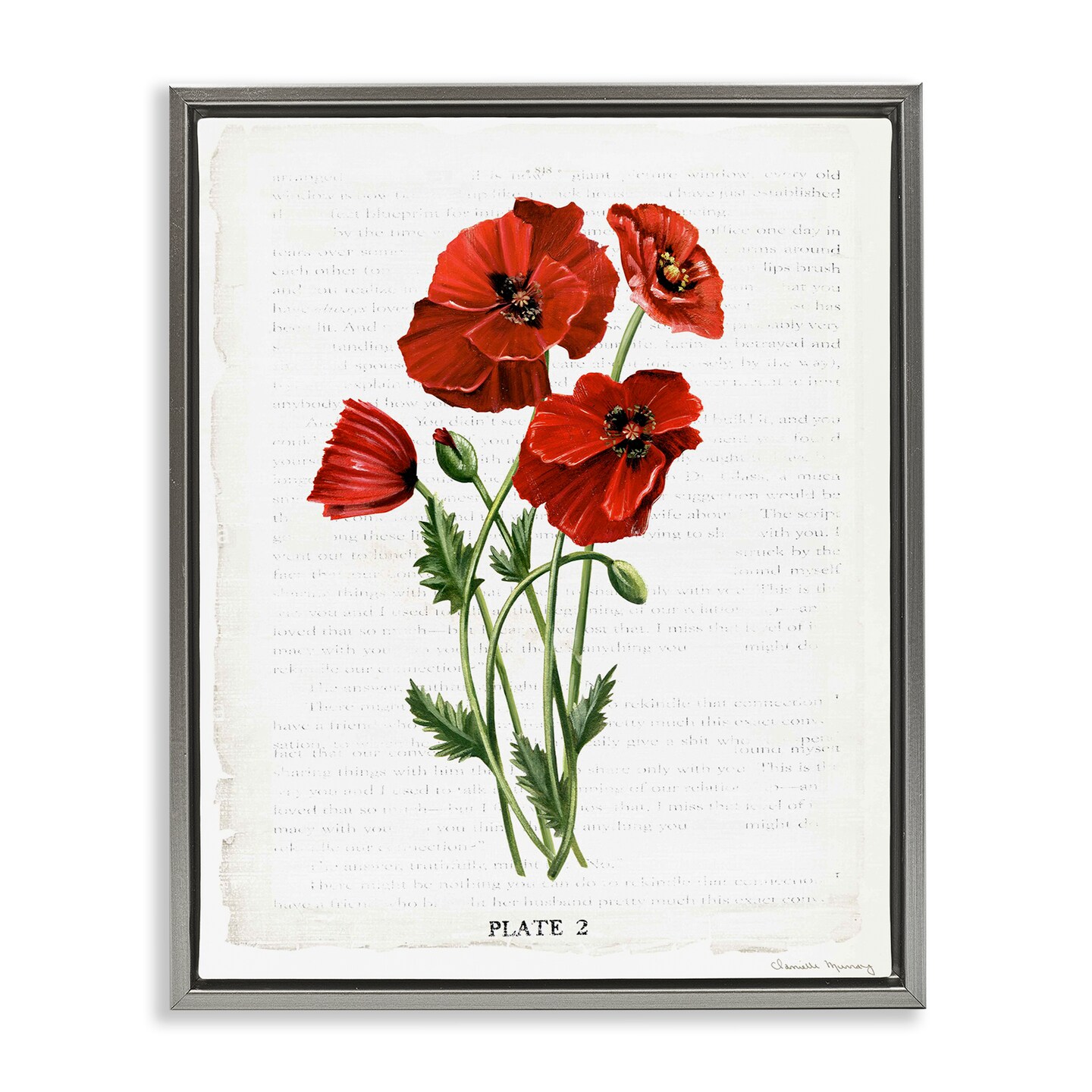 Stupell Industries Vintage Poppy Study Floating Frame By Danielle Murray | Michaels