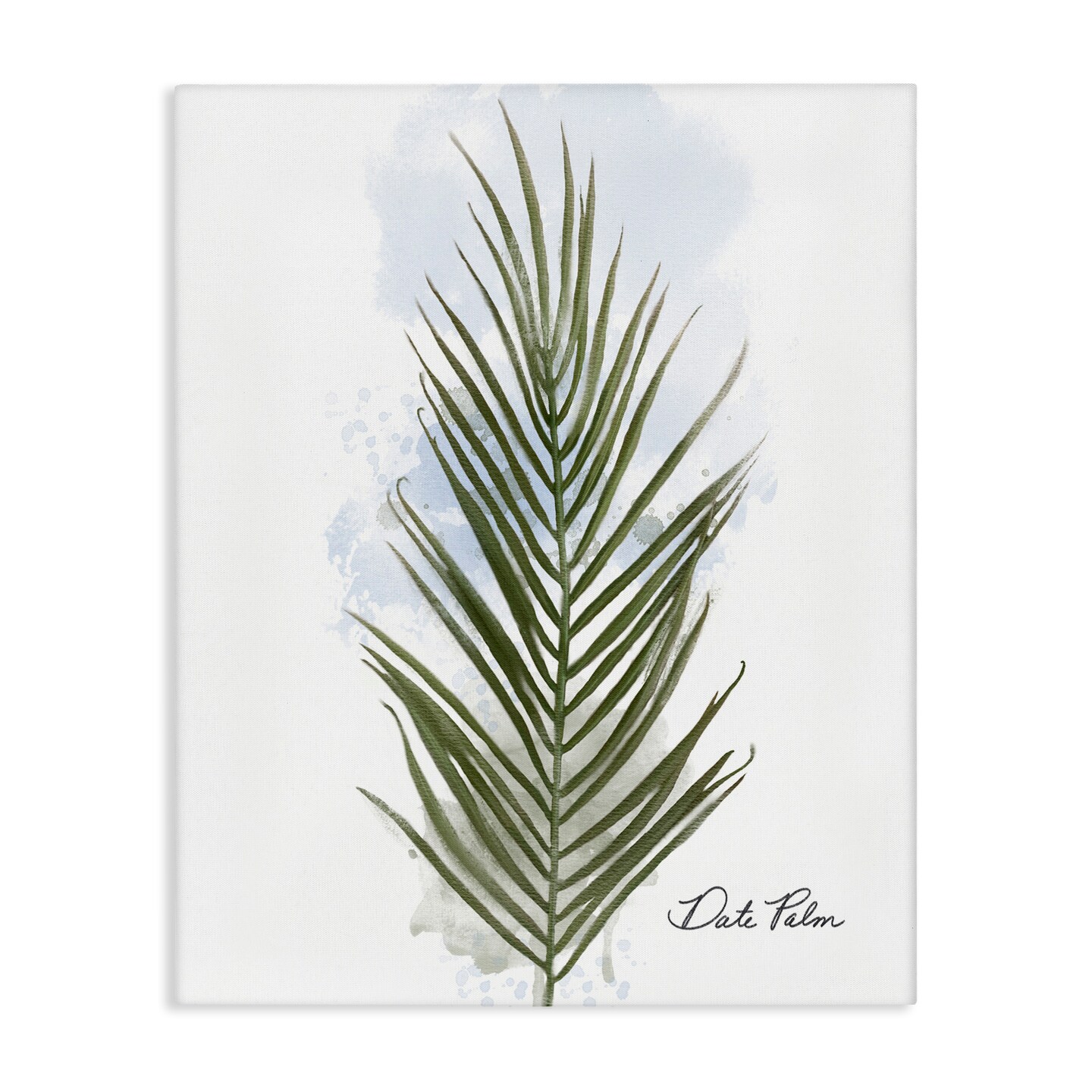 Stupell Industries Modern Date Palm Leaf Canvas By Matthew Piotrowicz ...