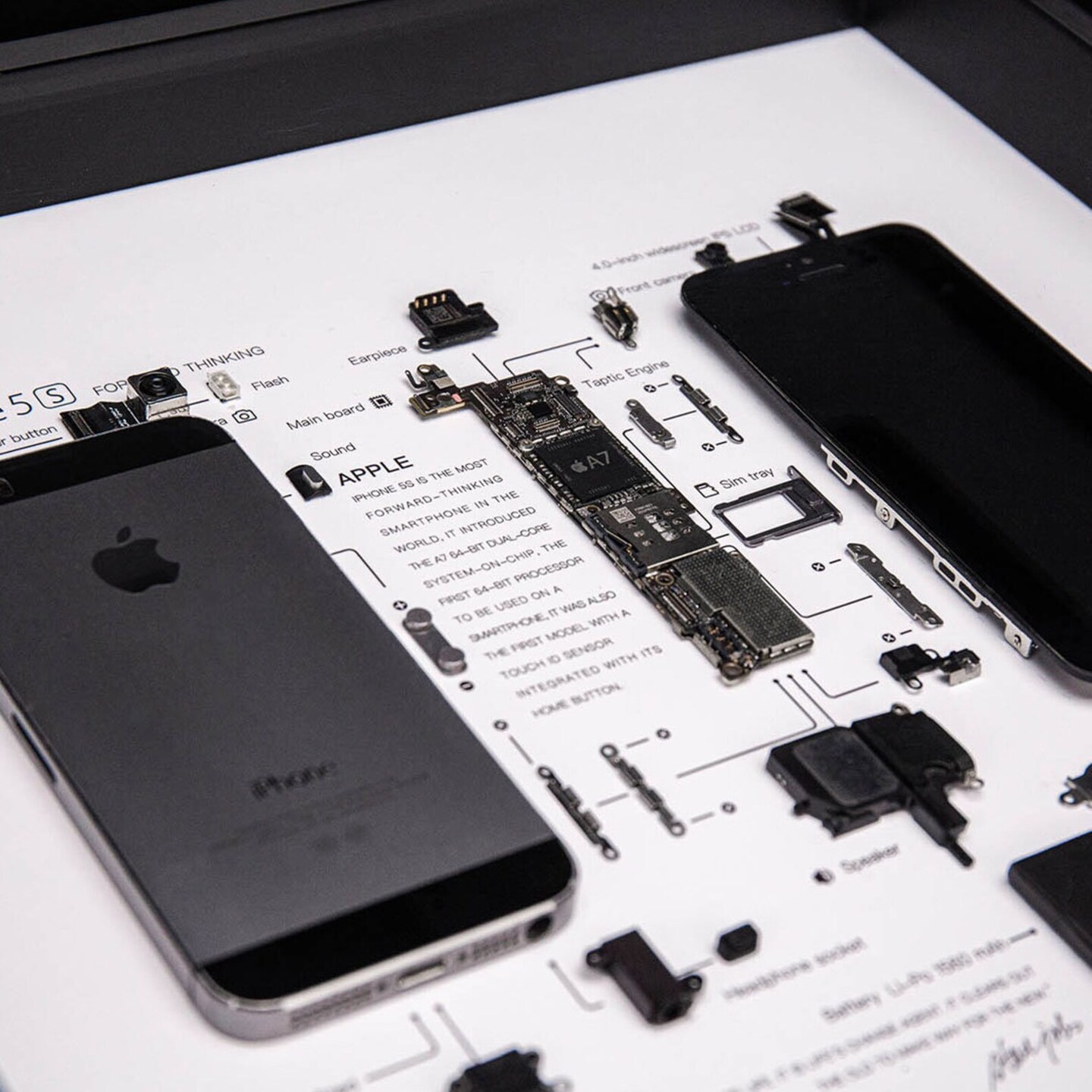 Framed iPhone 5S Disassembled Phone Teardown iphone Wall Art Gifts for ...