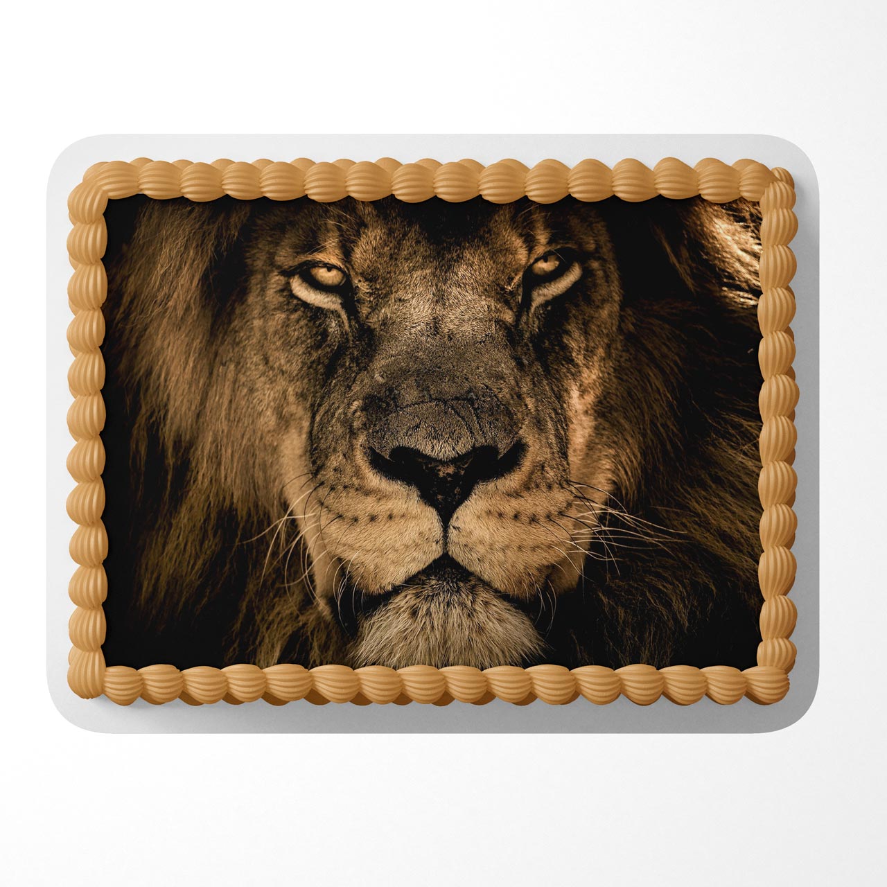 Lion JKF Edible Cake Image Topper Birthday Cake Sheet | MakerPlace by ...