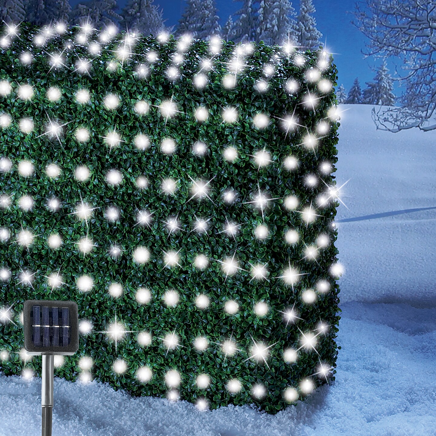 Collections Etc Solar Led Net Lights, Count: 1, Model: 68366 WHIT ...