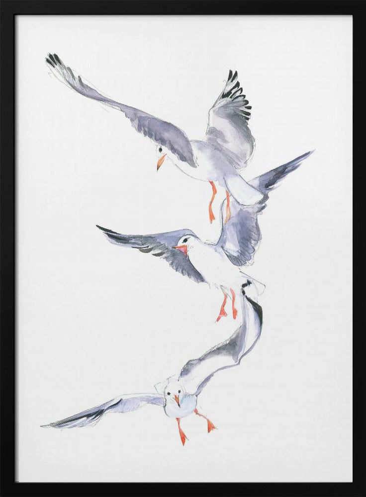 Seagull Flight - Isabelle Brent 24x36 Black Framed Art | Home or Office ...