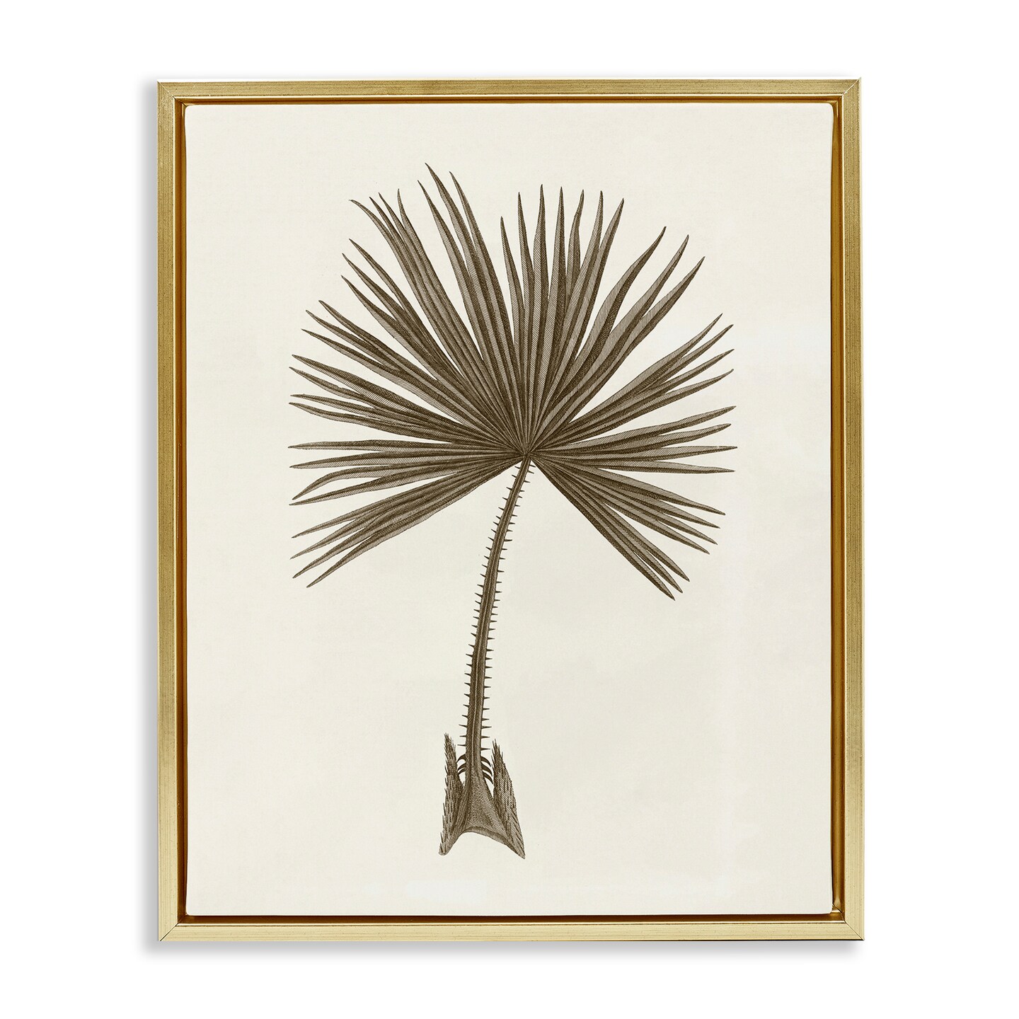 Stupell Industries Vintage Study of Palm Leaf Floating Frame Design by ...