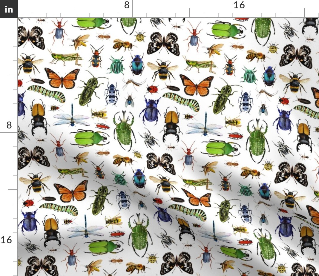 Summer Bugs Insects Green Orange Blue Yellow Butterfly Ladybug Beetle ...