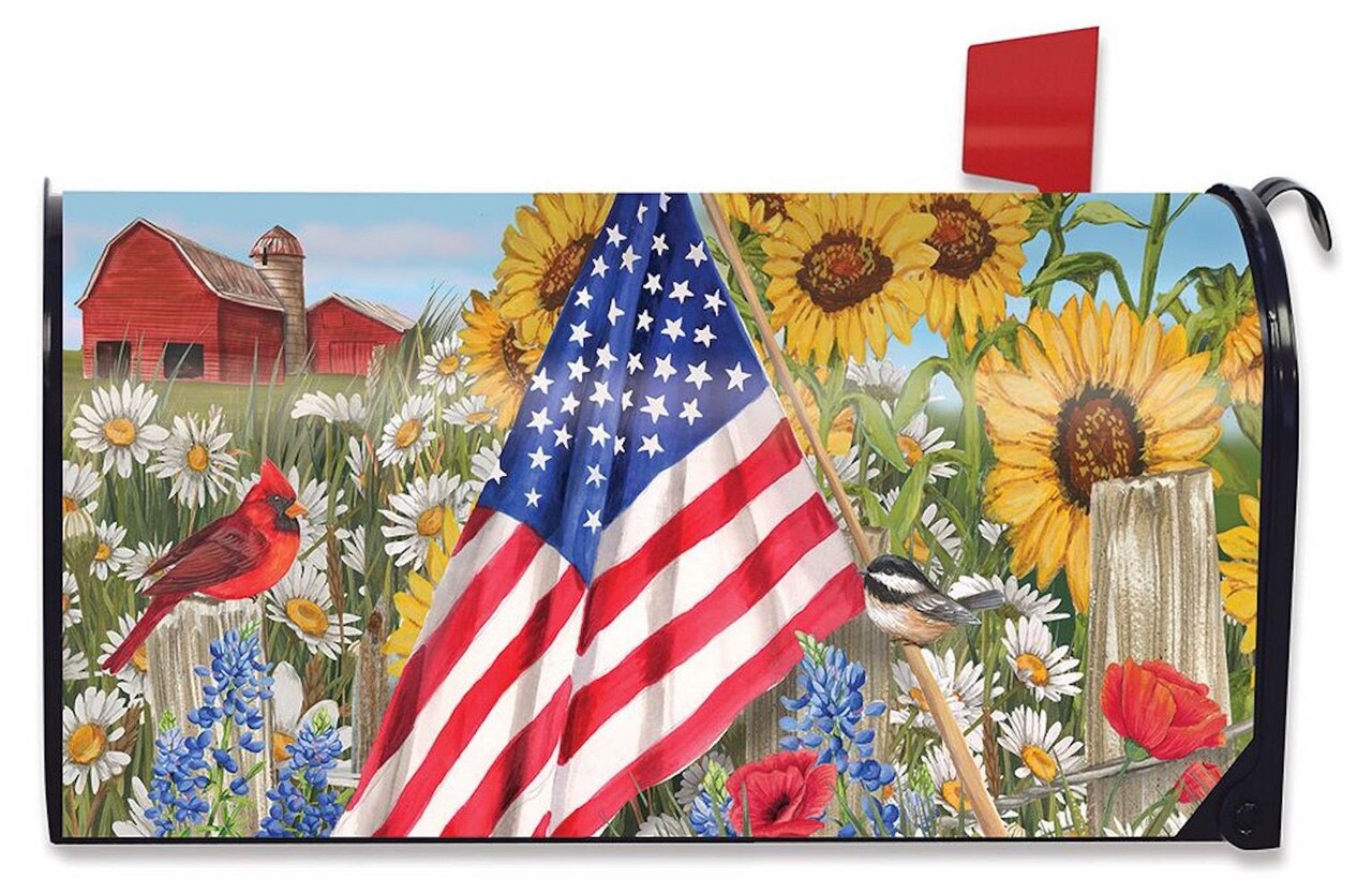 America the Beautiful Summer Mailbox Cover | Michaels