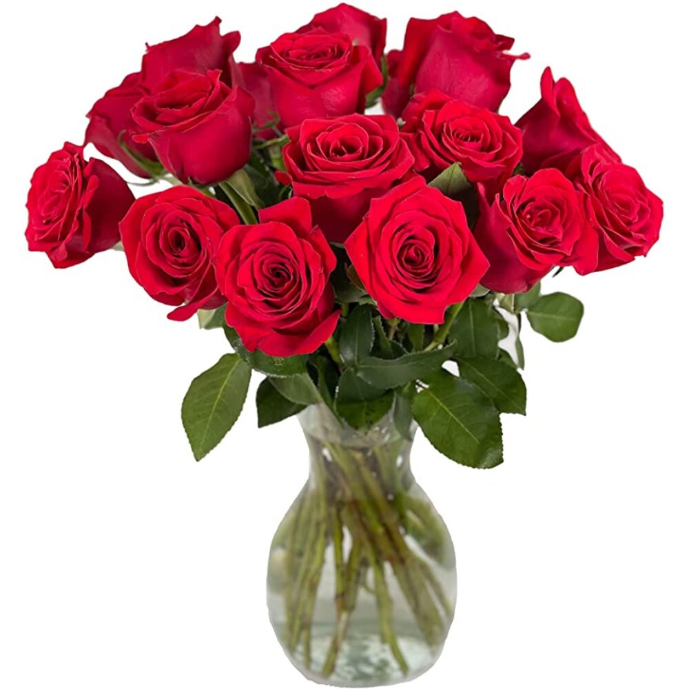 18 Red Roses | Fresh Flowers for Delivery with Opal Vase | Shipped ...