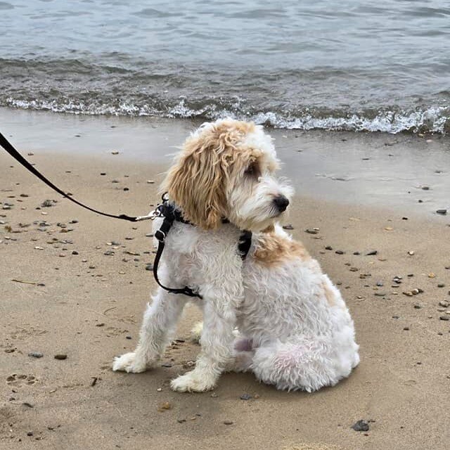 Crafting With Coco | Storefront | Michaels