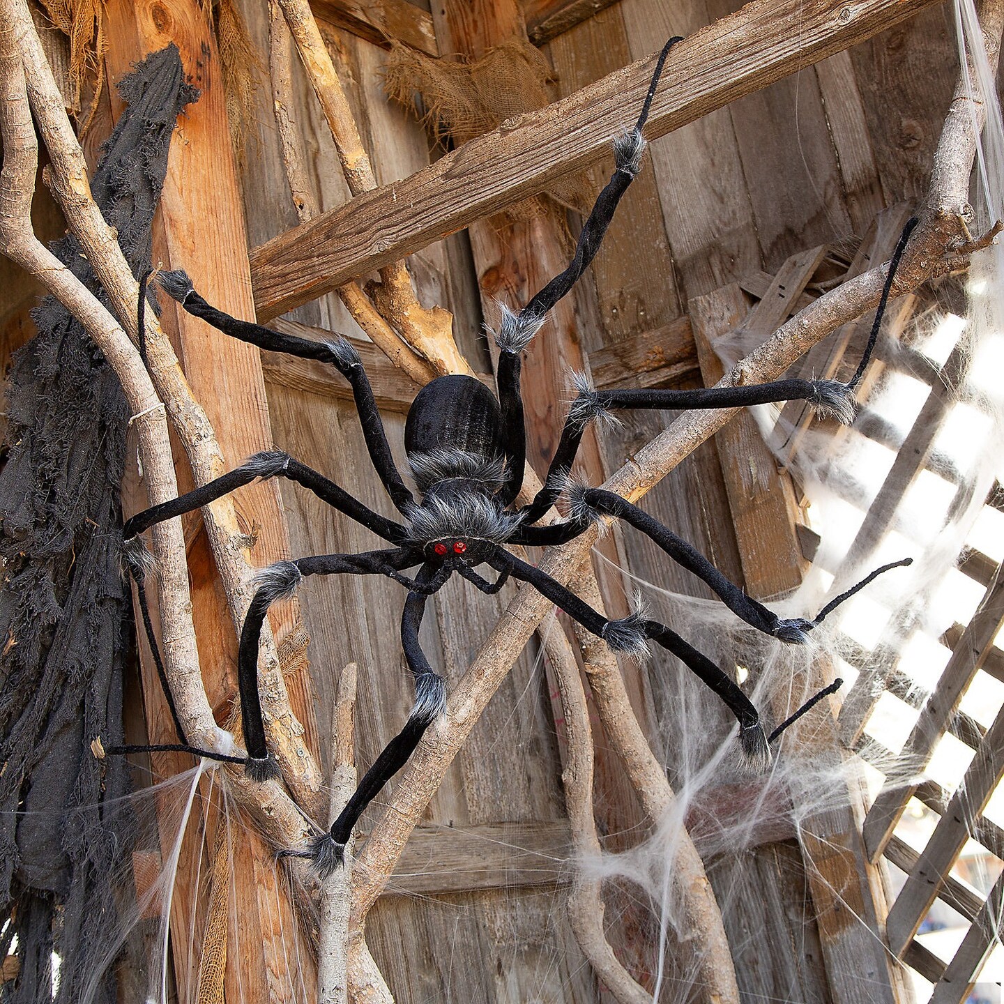 Poseable Hairy Joints Black Wolf Spider Halloween Decoration 55" | Michaels
