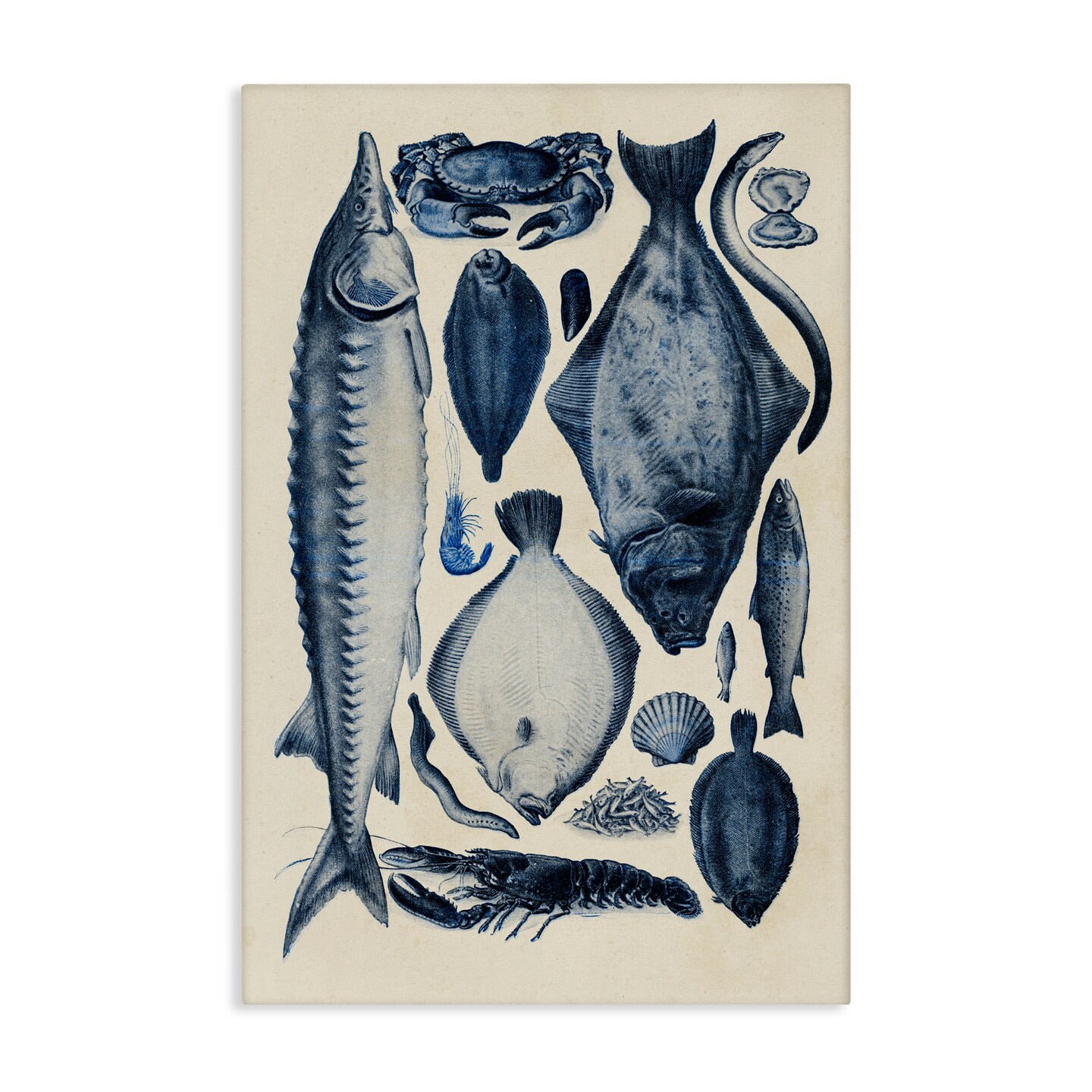 Stupell Industries Scientific Marine Life Chart Canvas, design by ...