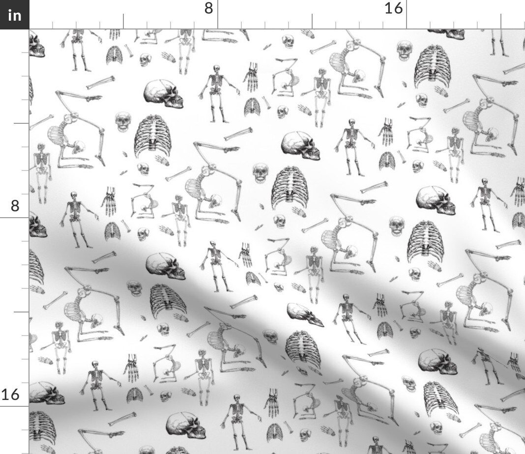 Skeletons Halloween Bones Skeleton Anatomical Drawing Black White ...
