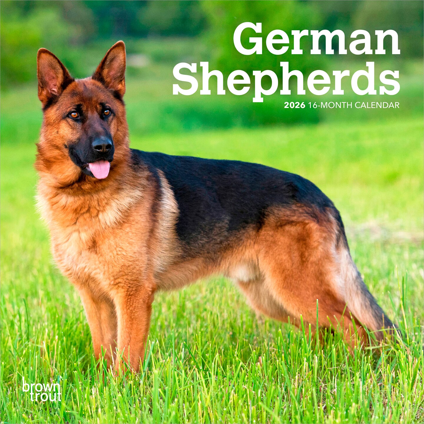 German Shepherds | 2026 7 x 14 Inch (Hanging) Monthly Mini Wall ...