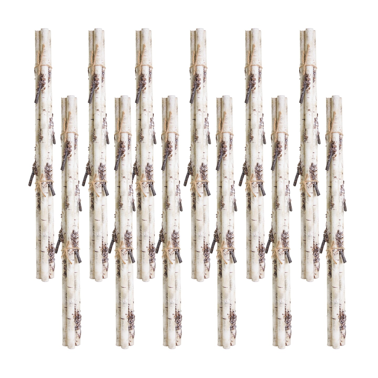 Birch Branch Bundle (Set of 12) | Michaels
