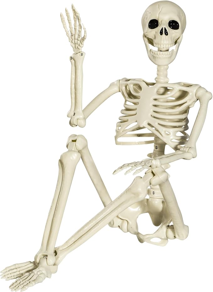 Halloween Skeleton Full Body Posable Joints , 3ft Human Skeleton ...