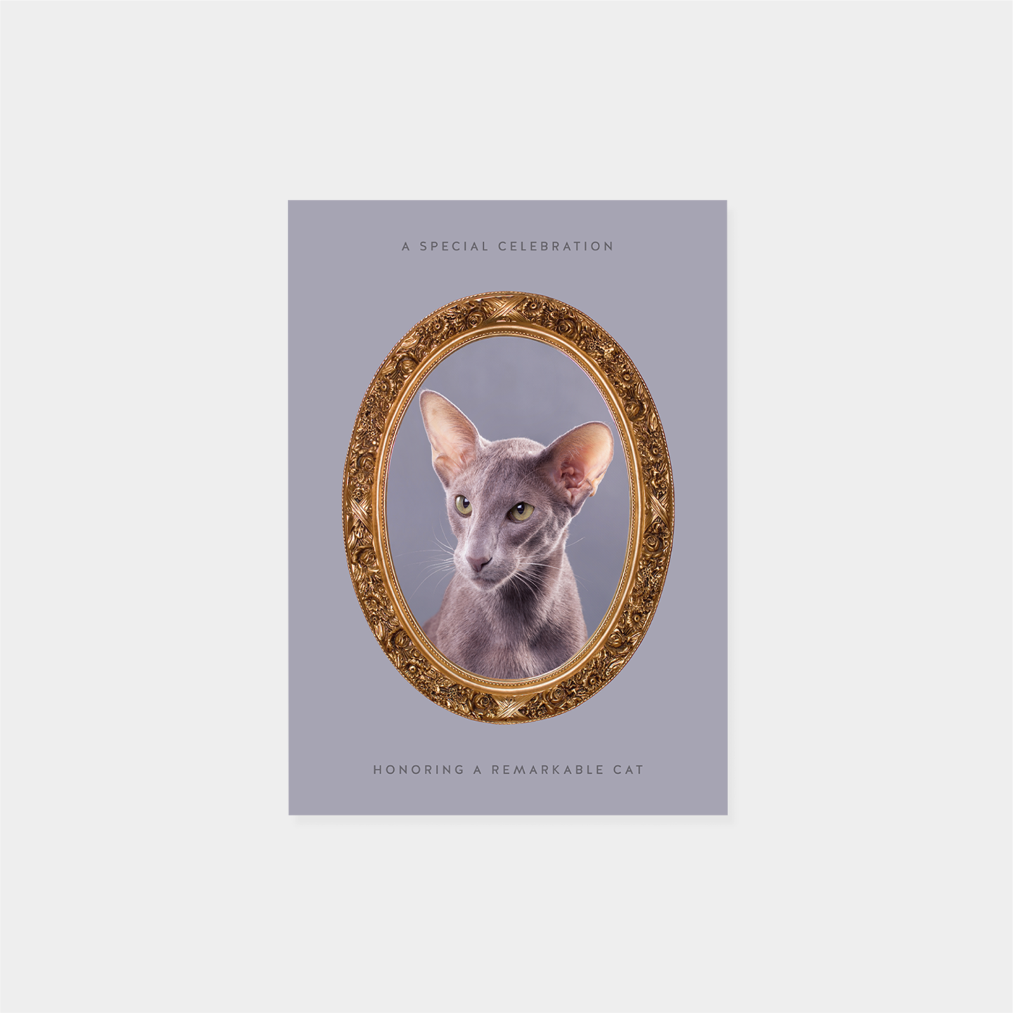 Pet Portrait Card II | Michaels