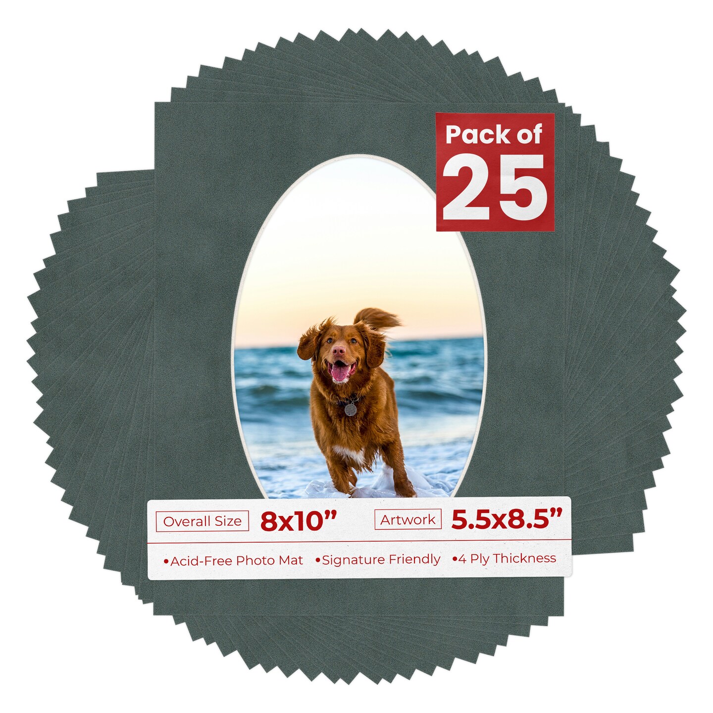 Dark Grey Suede Mat Board for 8x10 Frames - Oval Opening for 5.5x8.5 ...
