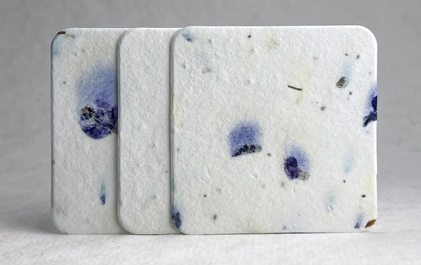 Wildflower Seed Paper Rounded Square - Cotton Paper Embedded with ...