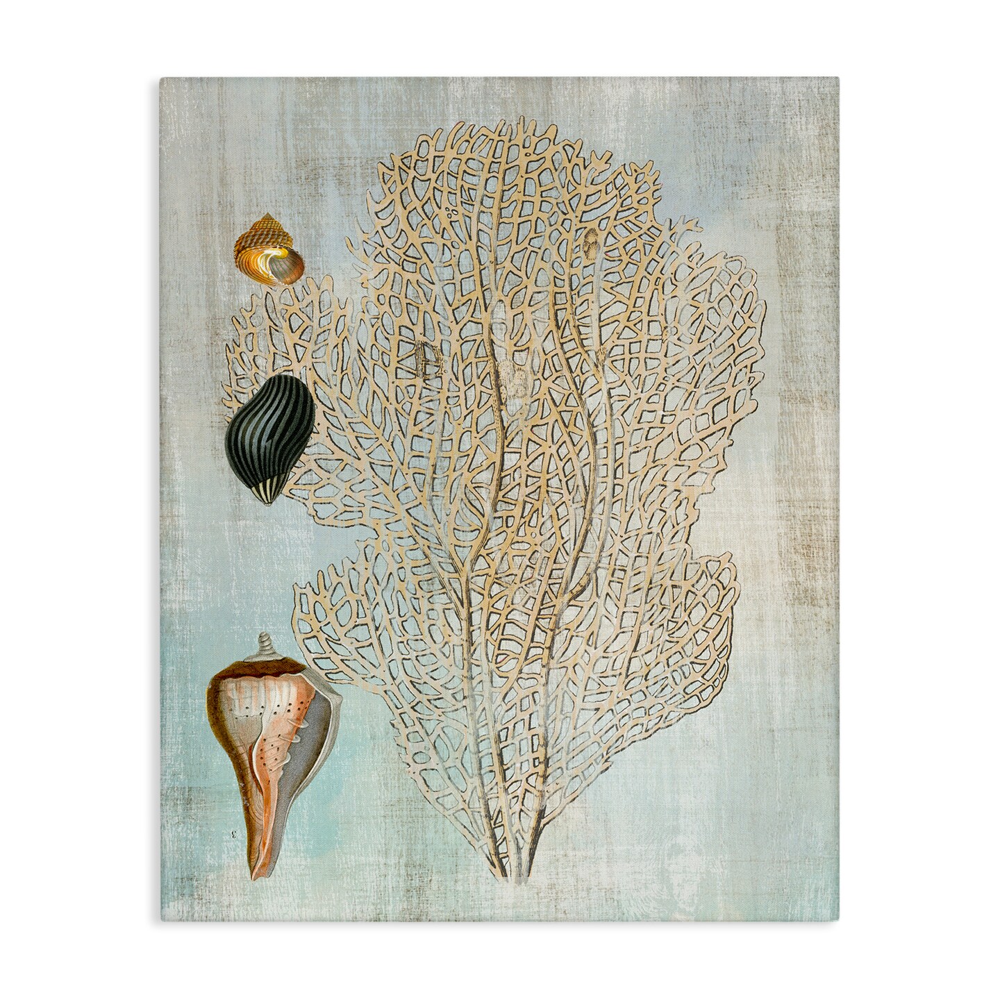 Stupell Industries Detailed Coral & Seashells Canvas Design by Susan ...