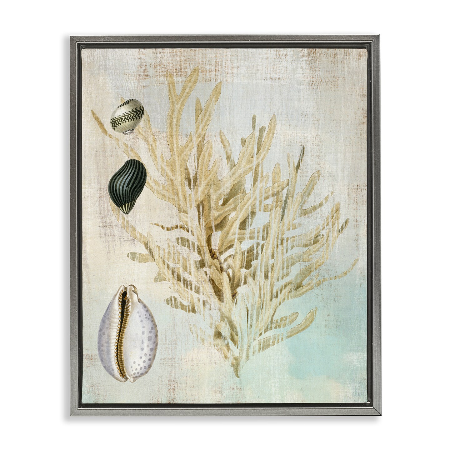 Stupell Industries Coral Branch & Cowrie Shells Floating Frame Design by Susan Arnot | Michaels