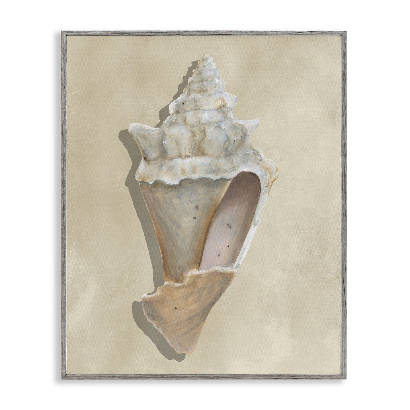 Stupell Industries Tan Toned Conch Shell Framed Giclee By Michael ...