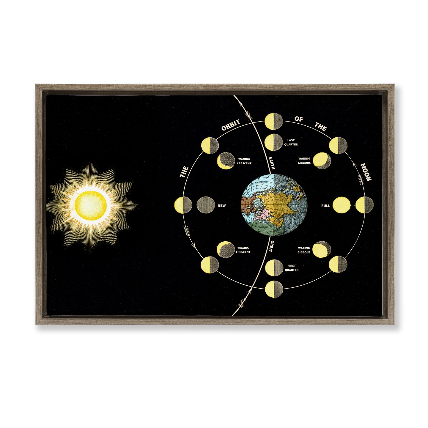 Stupell Industries Moon's Orbit & Phases Floating Frame Design by ...