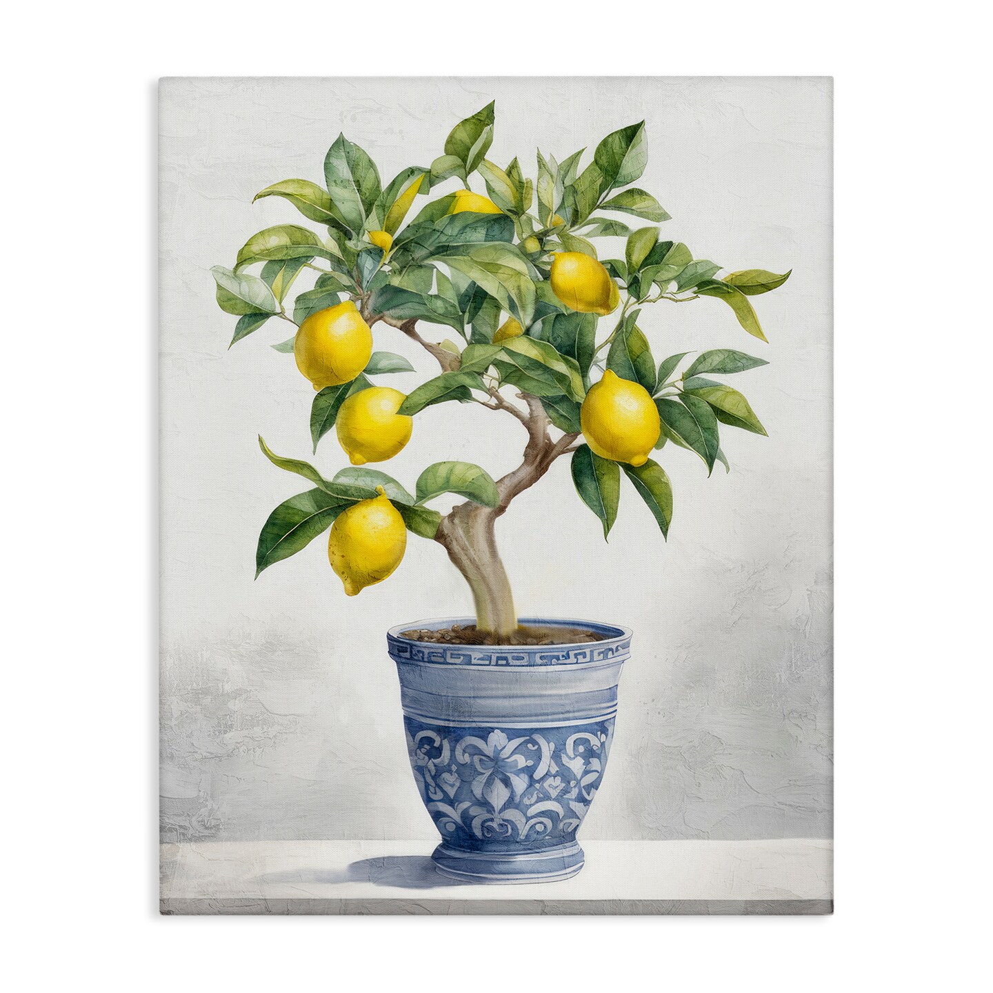Stupell Industries Traditional Potted Lemon Tree Canvas Design by Kim ...