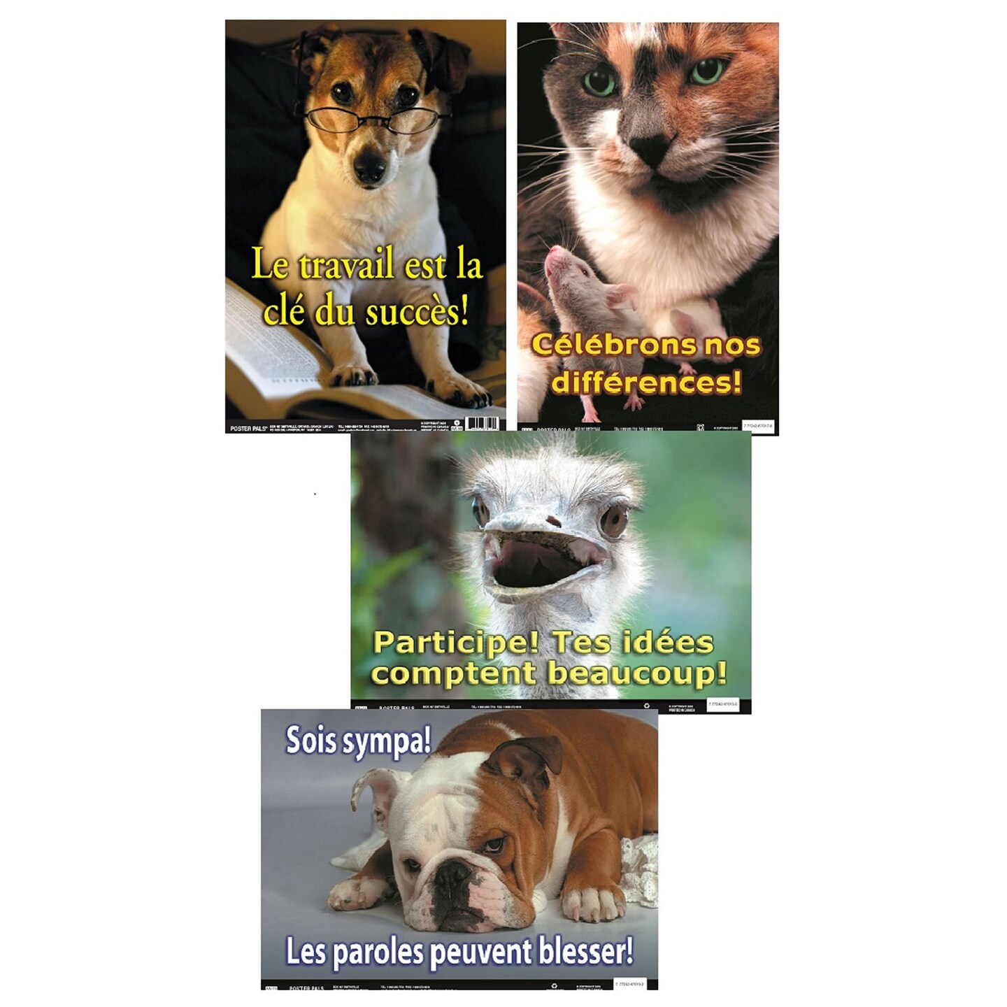 Poster Pals French Educational and Language Teaching Fun Photo Posters ...