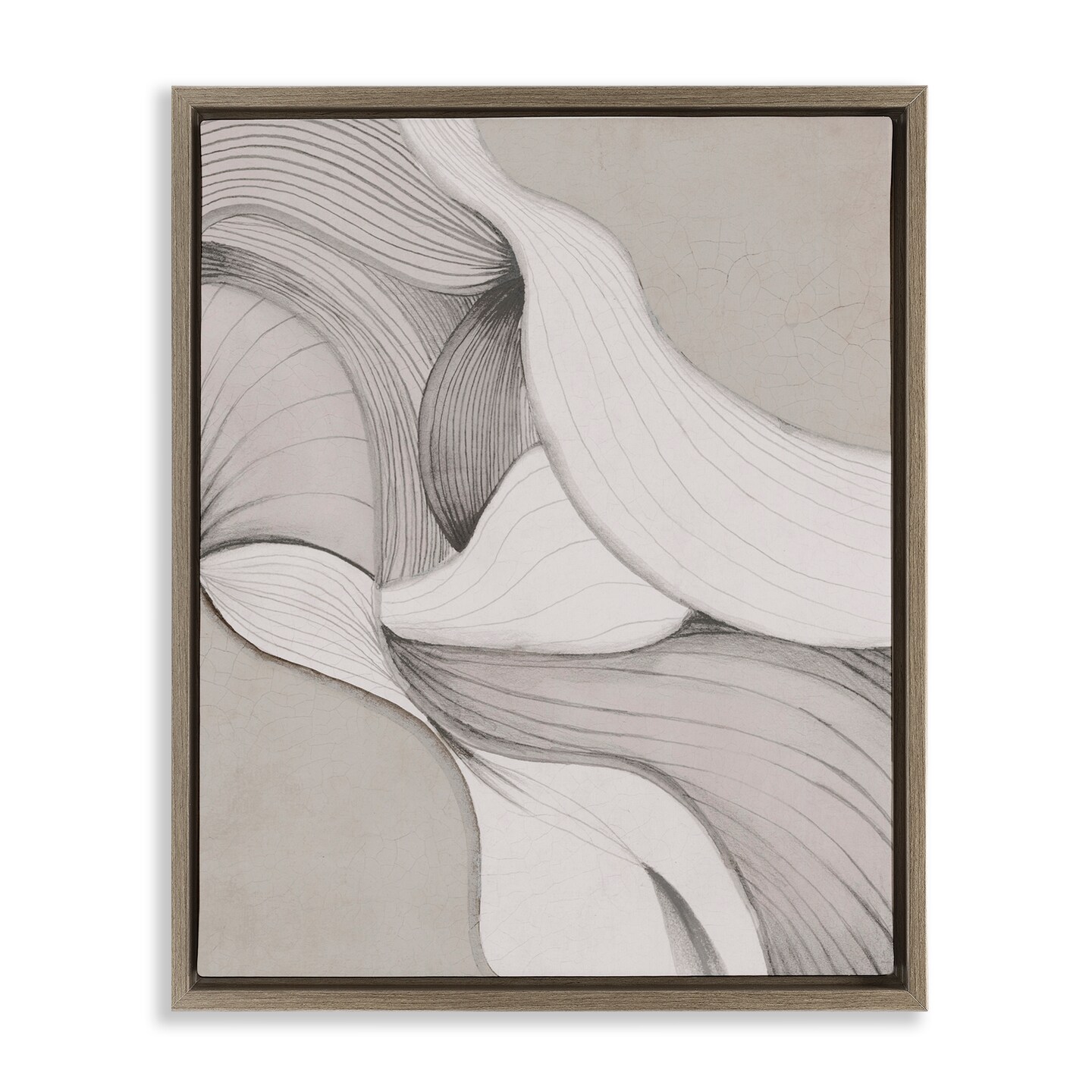 Stupell Industries Monochromatic Curved Expression Floating Frame By Jacob Q | Michaels