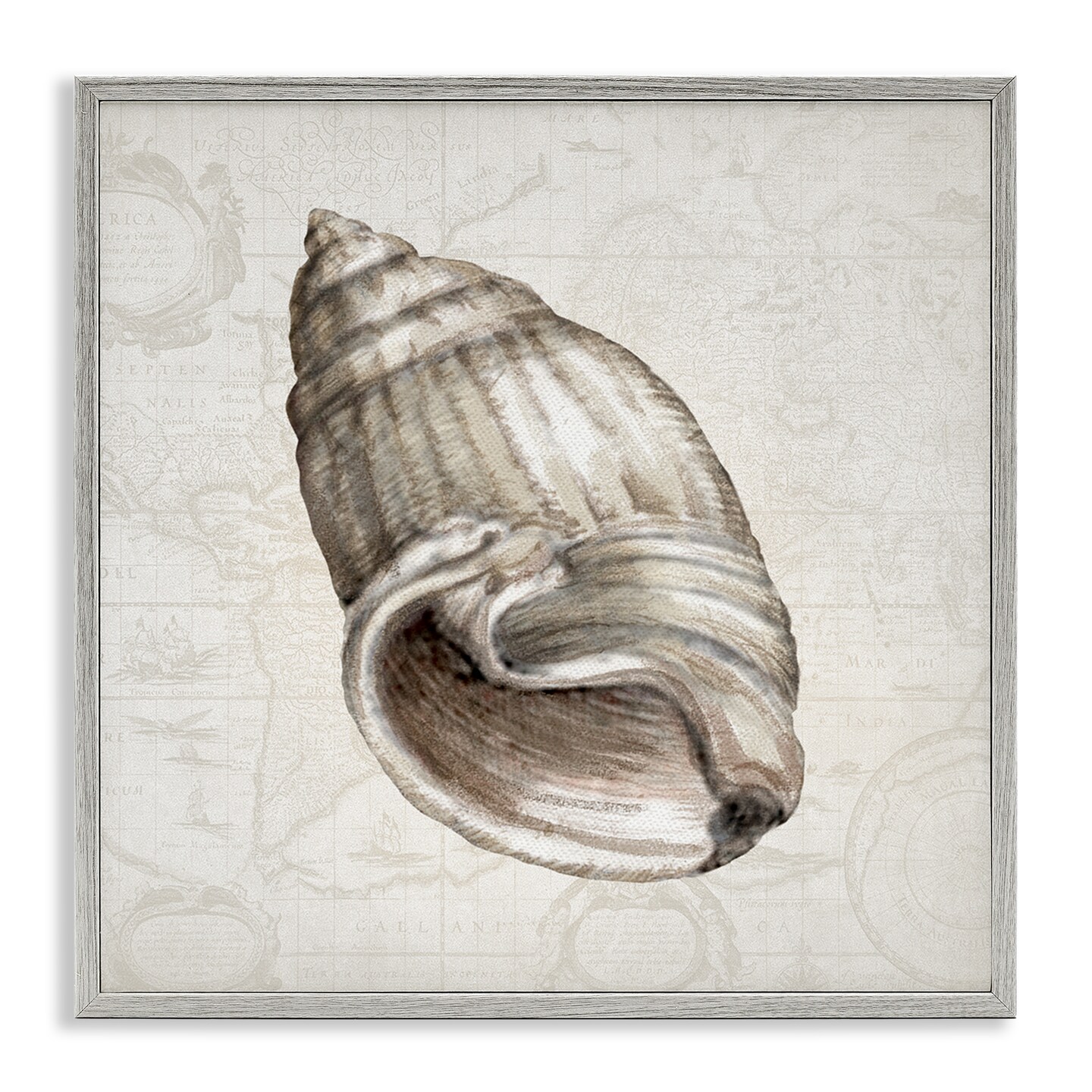 Stupell Industries Seashell over Vintage Map Framed Giclee By Conrad Knutsen | Michaels