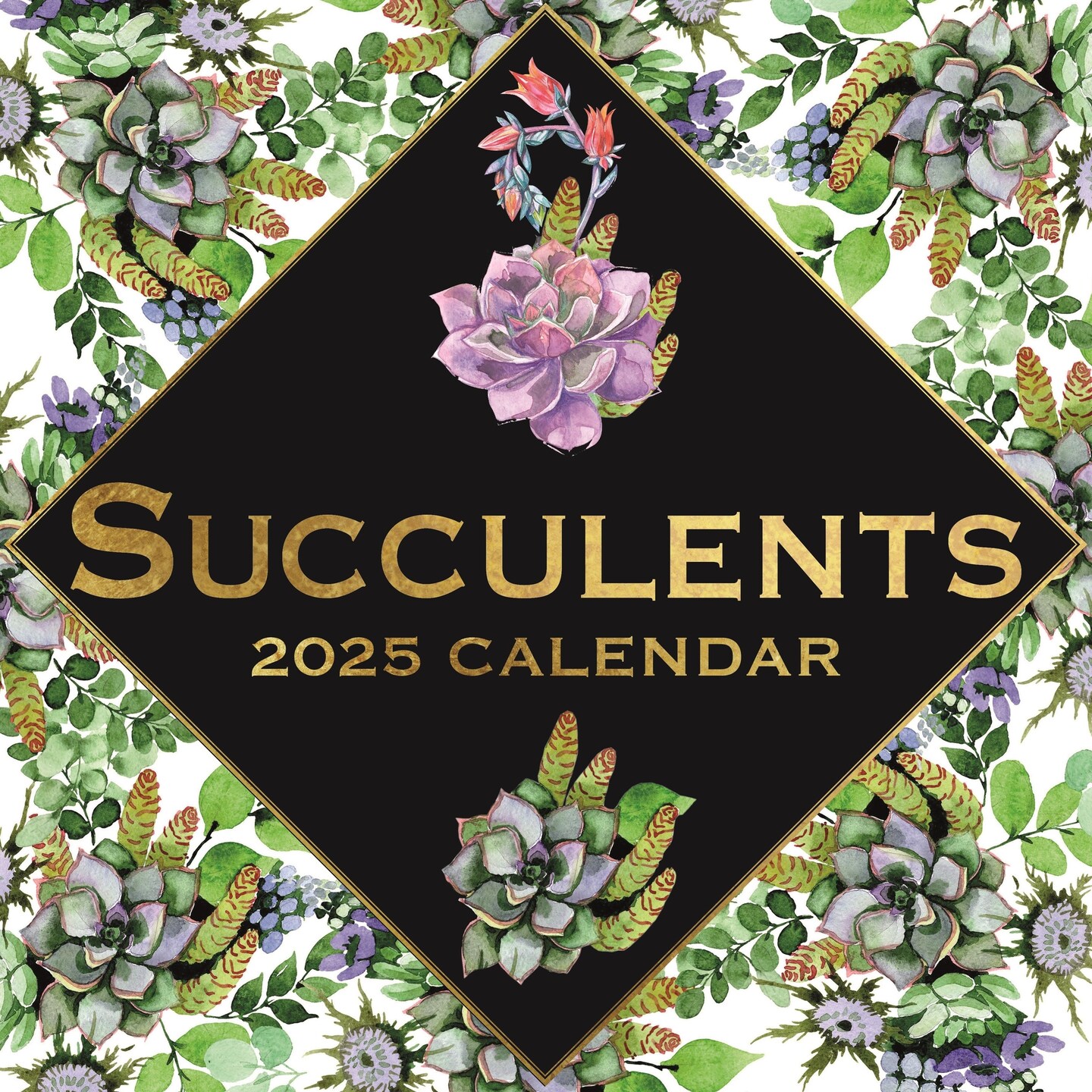 2025 Square Wall Calendar, Succulents, 16-Month Arts & Antiques Theme ...