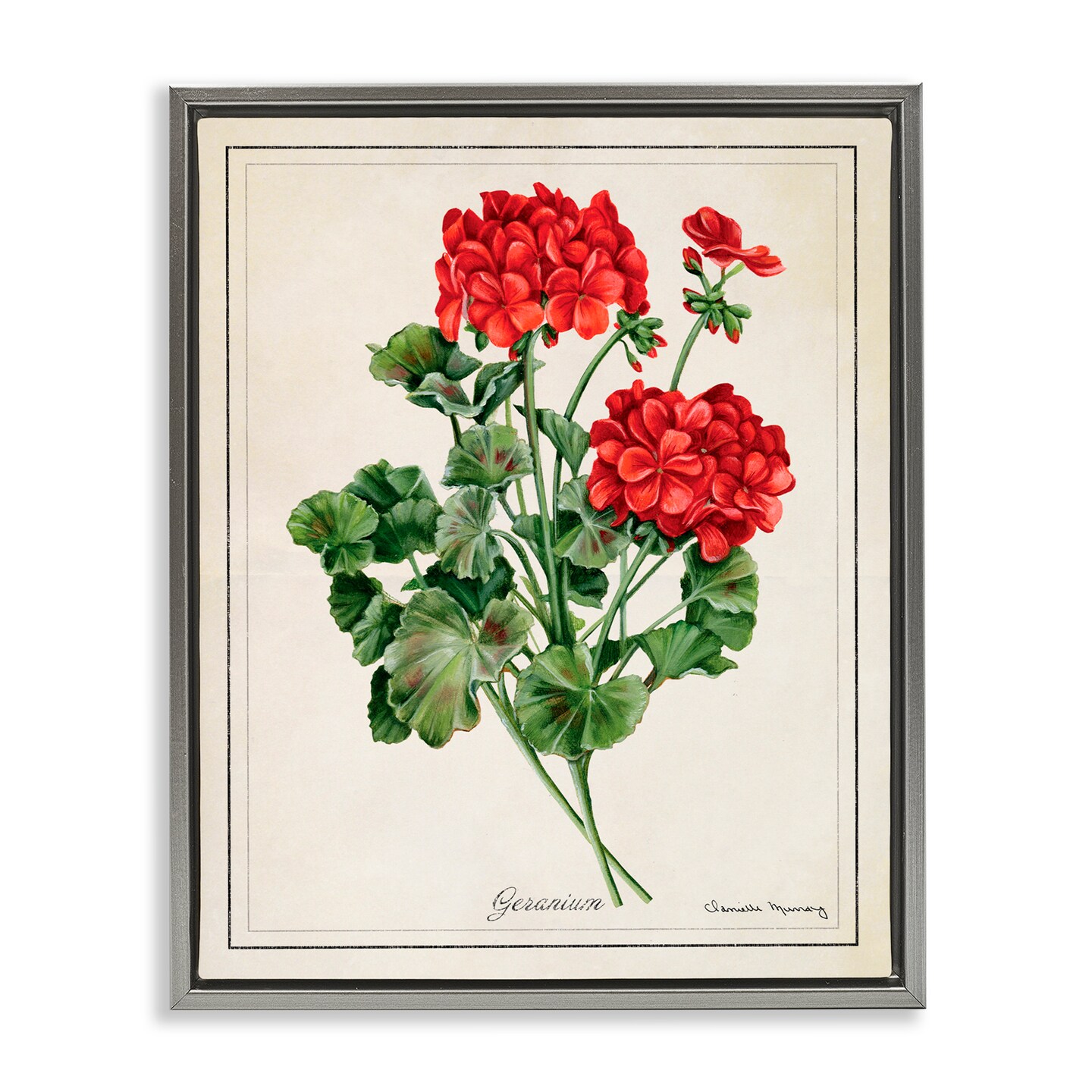 Stupell Industries Vivid Red Geranium Blossoms Floating Frame By Danielle Murray | Michaels
