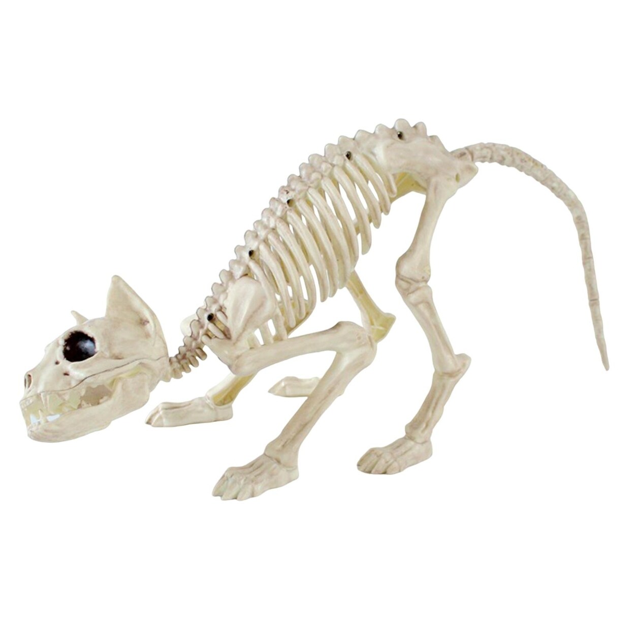 Halloween Decoration Mini Skeleton Bone Statues Poseable Rat Dog Spider ...
