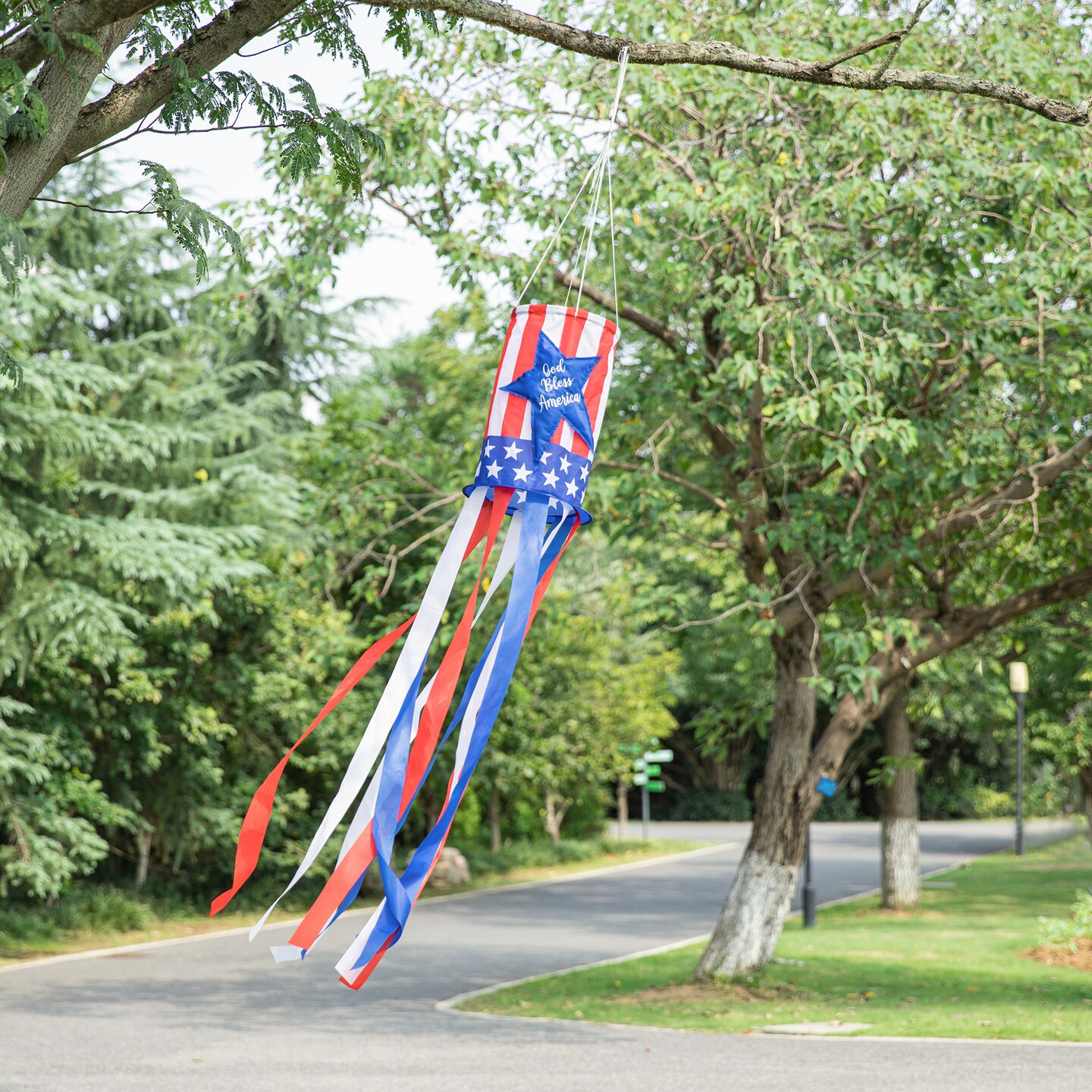 60.25"H Patriotic/ Americana Star Windsocks | Michaels