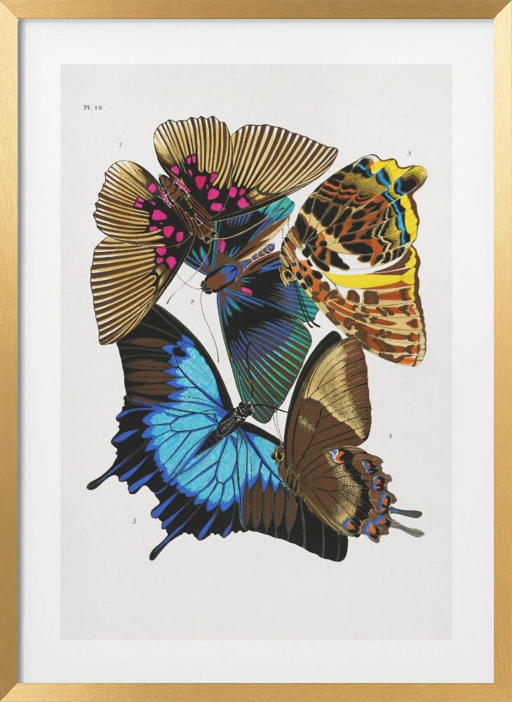 Butterflies 4 Framed Art Wall Decor | Michaels