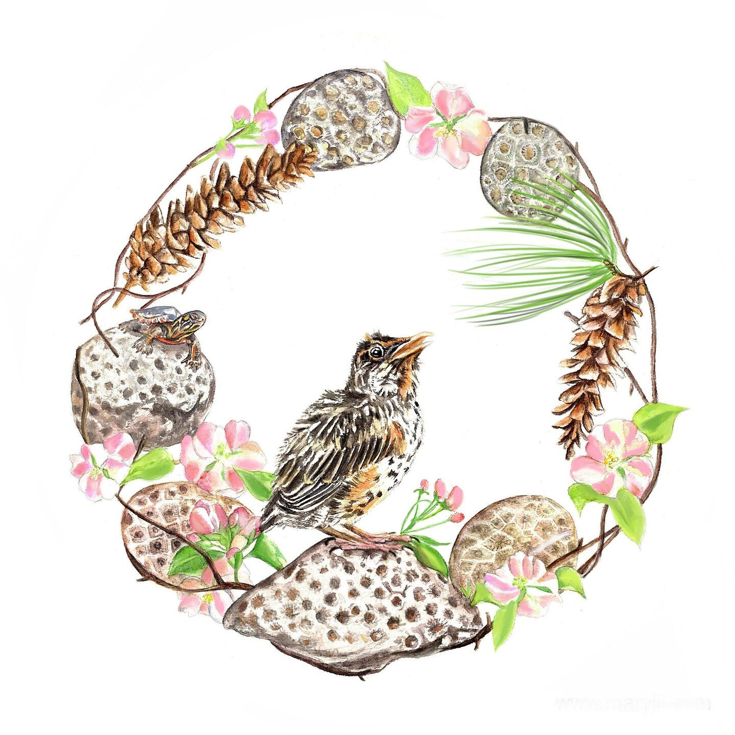 Michigan art: wreath original watercolor with state bird Robin ...