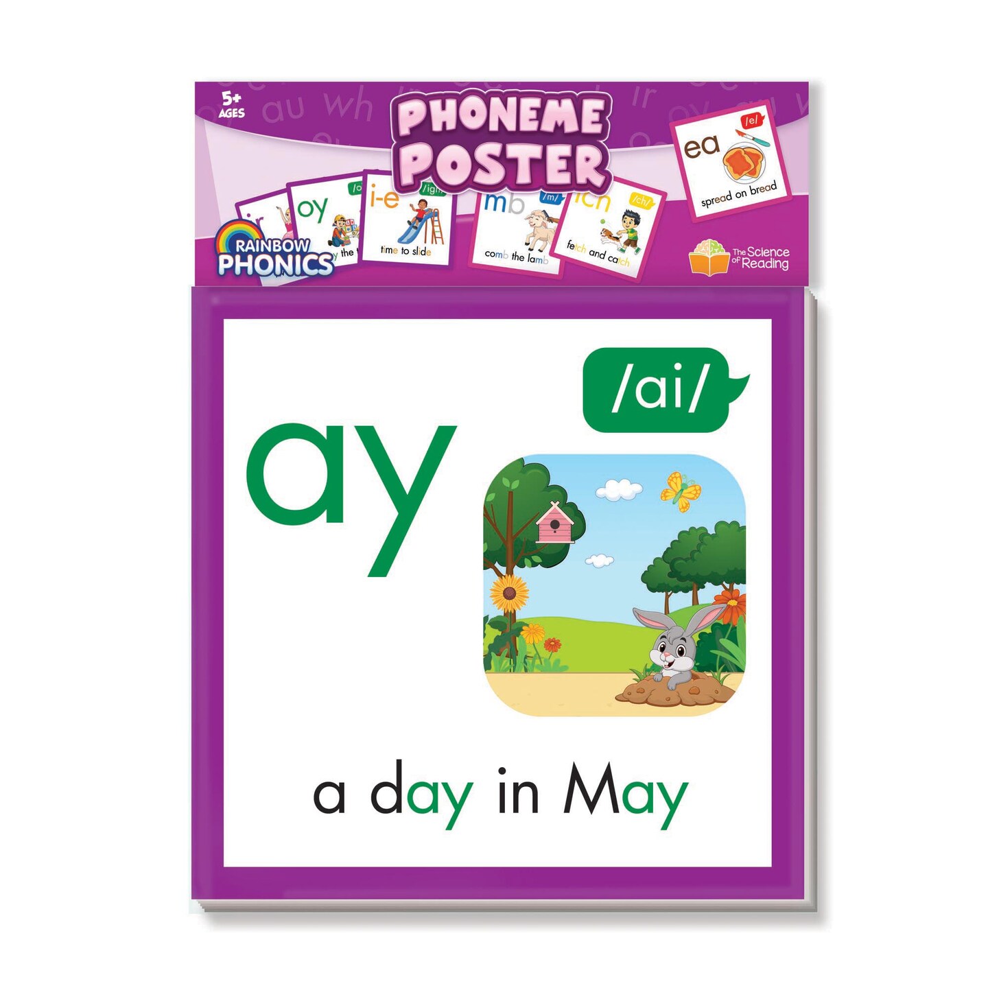 Rainbow Phonics: 67 Phoneme Posters | Michaels